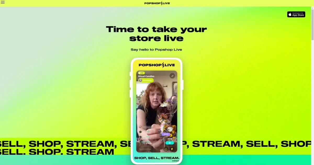 Video Shopping: The Ultimate Guide to Mastering The Next Big Thing in ...