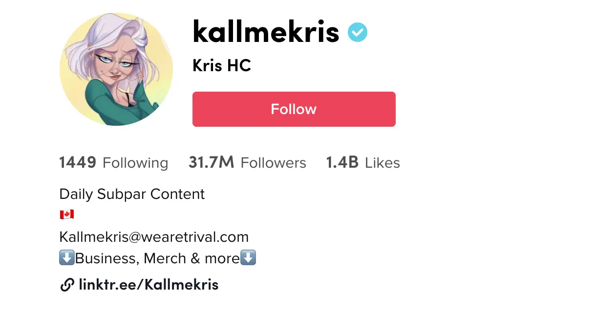 30 of the Biggest Social Media Influencers on TikTok Right Now