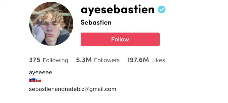 30 of the Biggest Social Media Influencers on TikTok Right Now