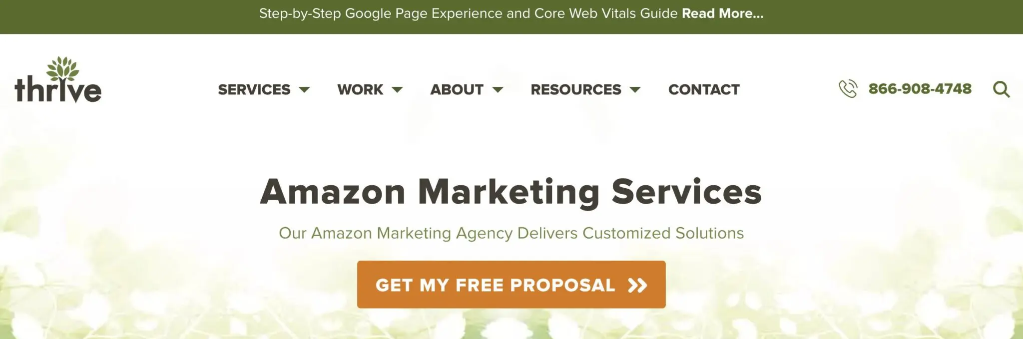 Amazon Display Ads - Specs, Best Practices & Examples