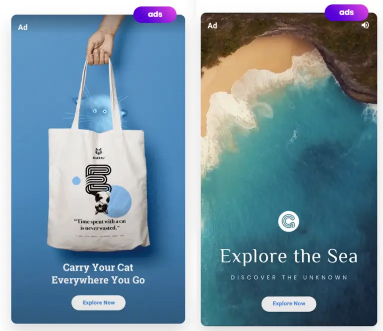 Everything You Need to Know About Google Web Stories